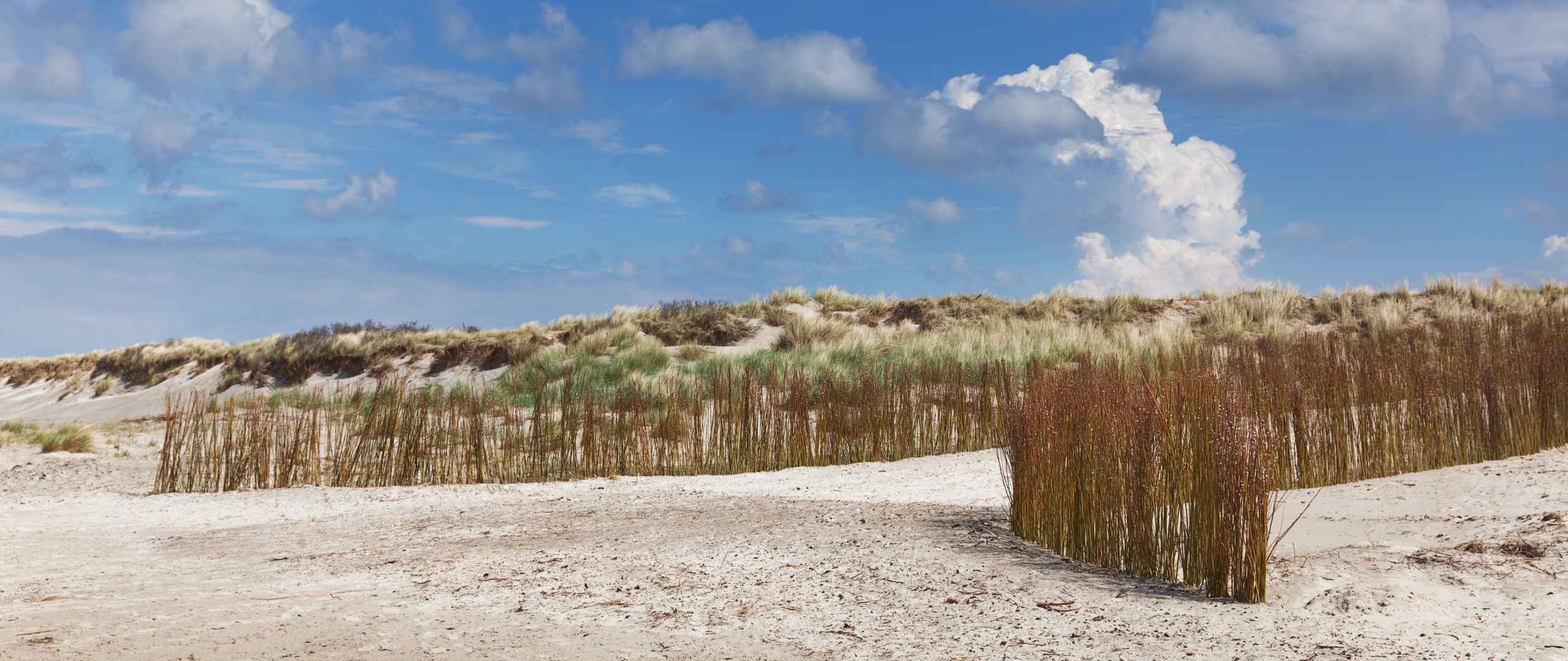 INTERREG NSR subsidieprogramma | Hezelburcht subsidieadvies