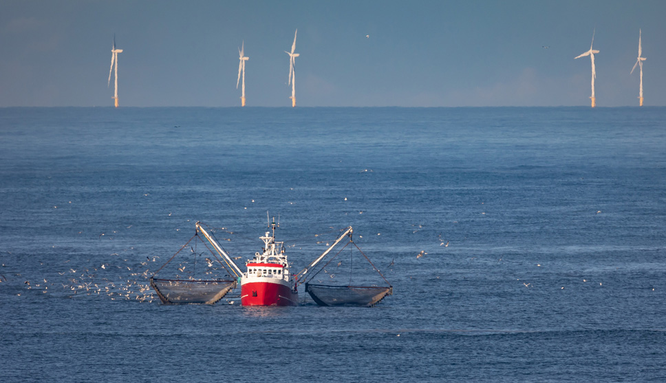 European Maritime Fisheries and Aquaculture Fund (EMFAF) - Hezelburcht
