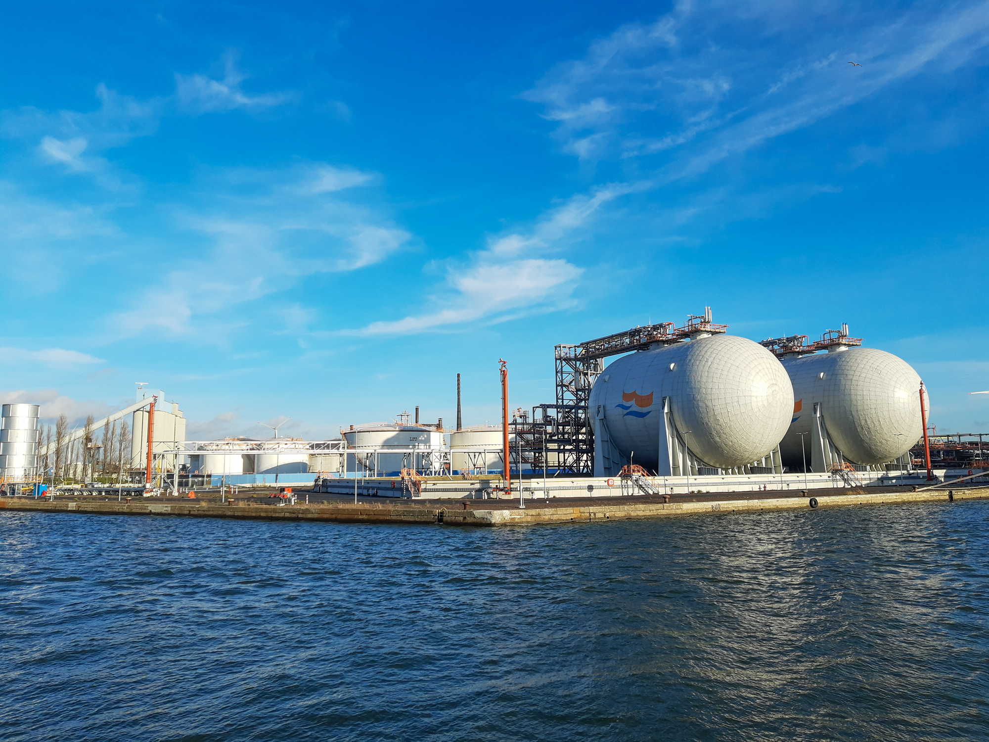 CBE JU call 2024 now open for applications | Hezelburcht Grants