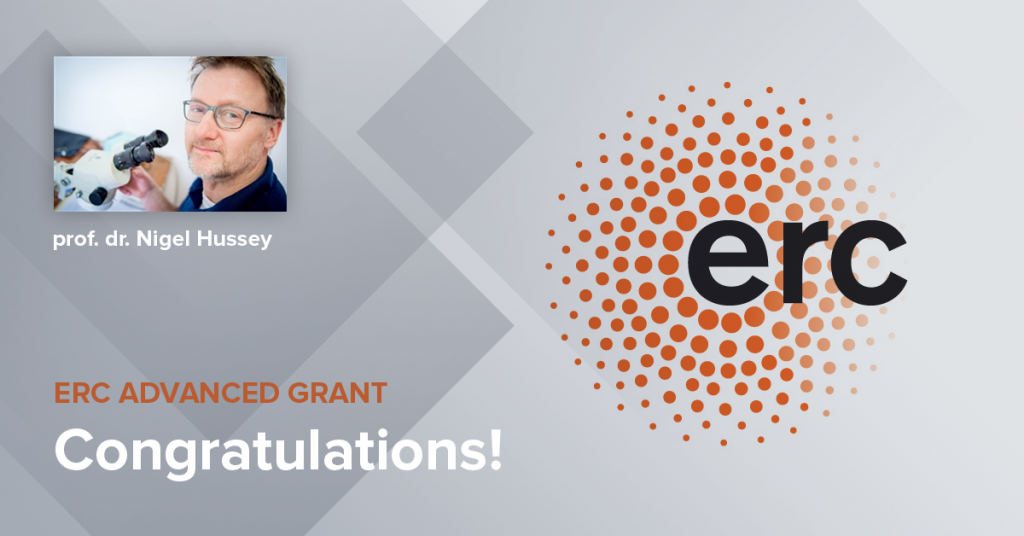 Apply for ERC Grants - European Research Council | Hezelburcht Grants