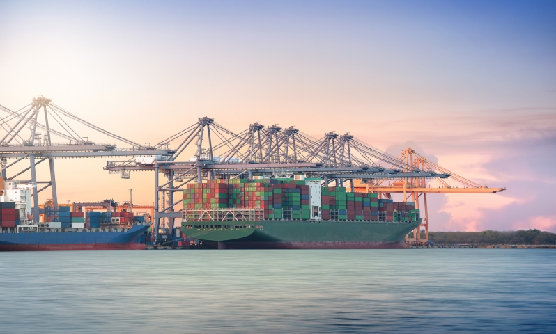 The new CEF AFIF call 2024/2025 has been launched